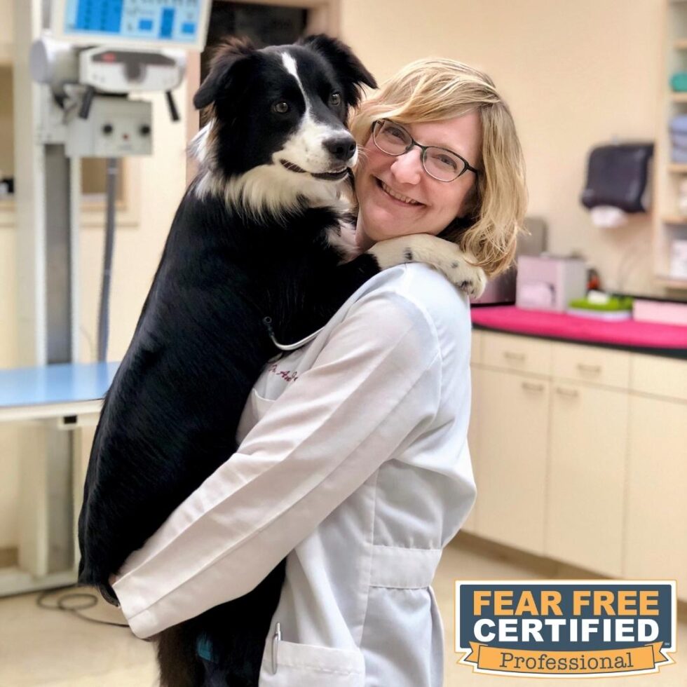 Veterinarian In Lawrence, KS 66047 | Lawrence Veterinary Hospital