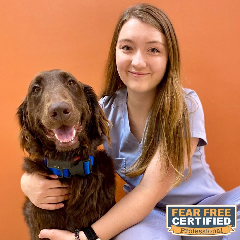 Veterinarian In Lawrence, KS 66047 | Lawrence Veterinary Hospital