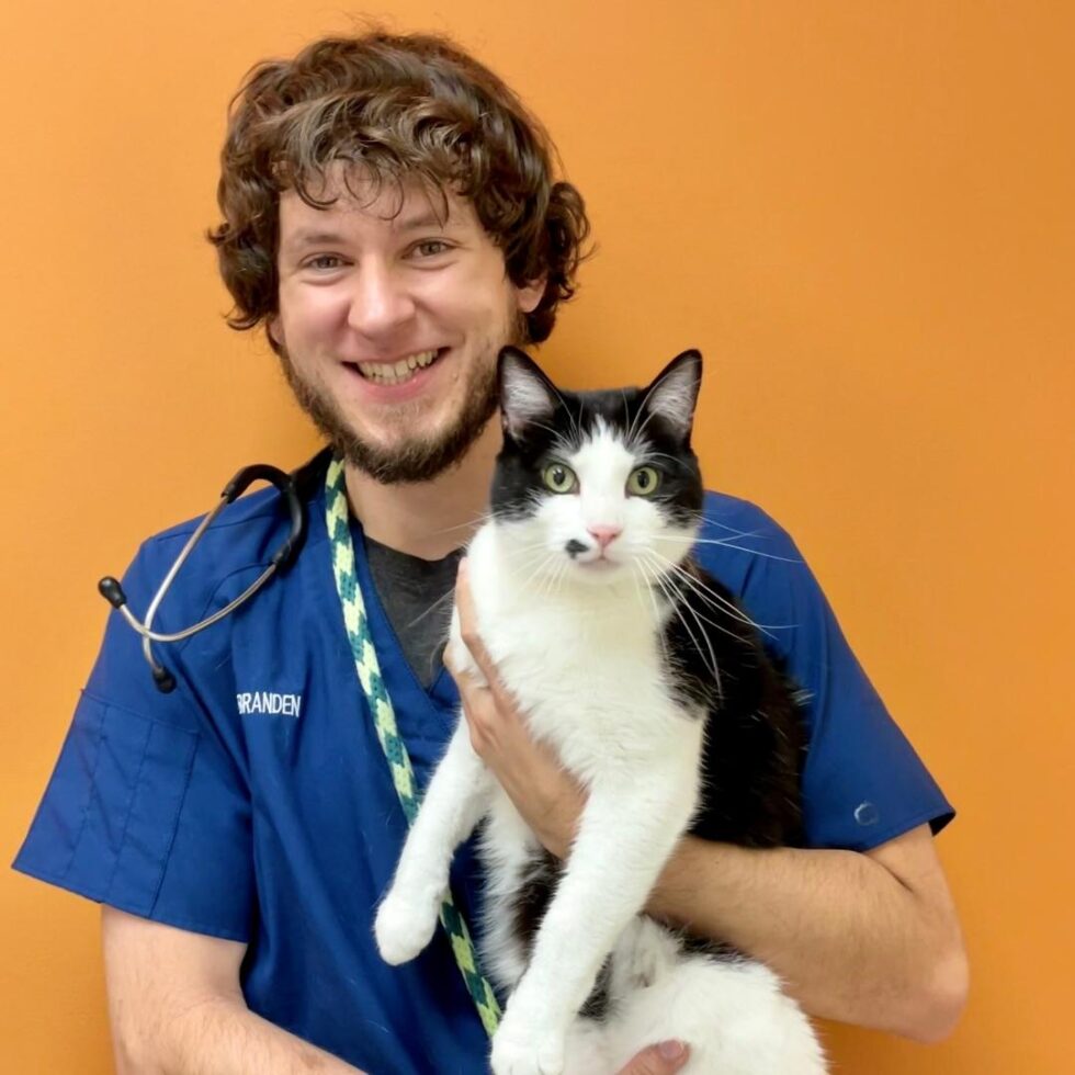 Veterinarian In Lawrence, KS 66047 | Lawrence Veterinary Hospital