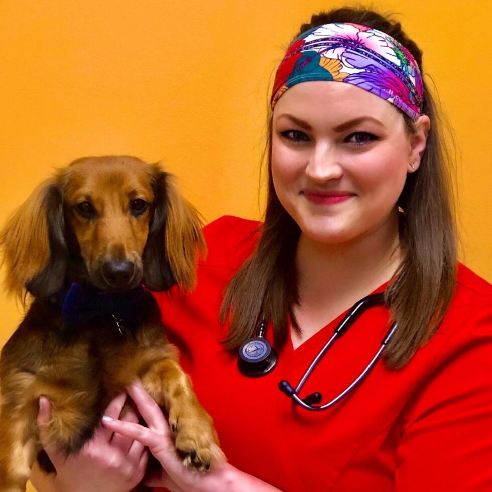 Veterinarian In Lawrence, KS 66047 | Lawrence Veterinary Hospital