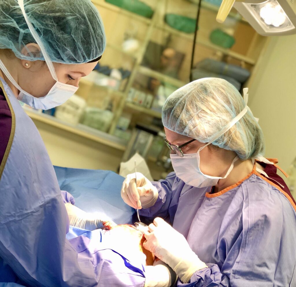 Pet Surgery In Lawrence, KS 66047 | Lawrence Veterinary Hospital