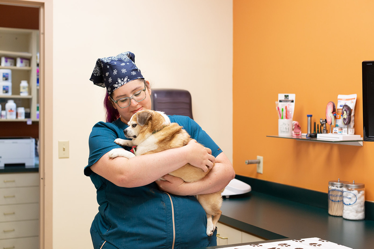 Veterinarian In Lawrence, KS 66047 | Lawrence Veterinary Hospital