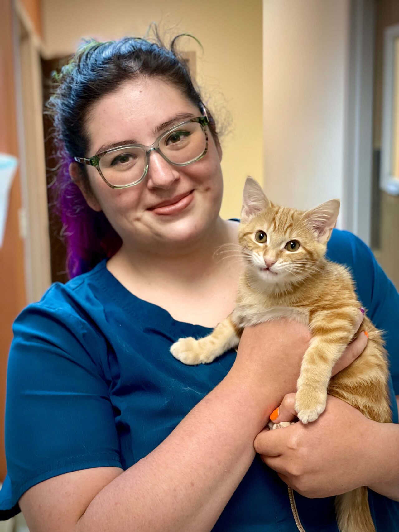 About Lawrence Veterinary Hospital | Vet In Lawrence, KS 66047
