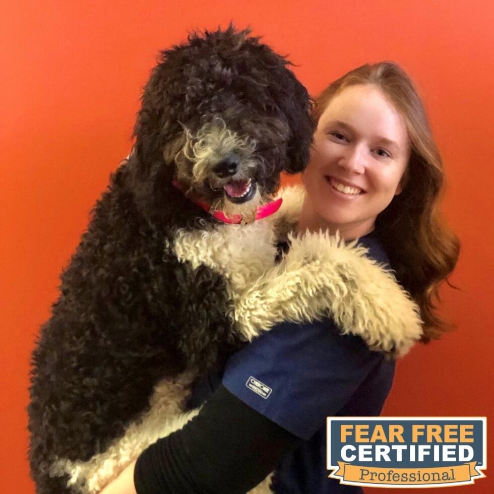 Veterinarian In Lawrence, KS 66047 | Lawrence Veterinary Hospital