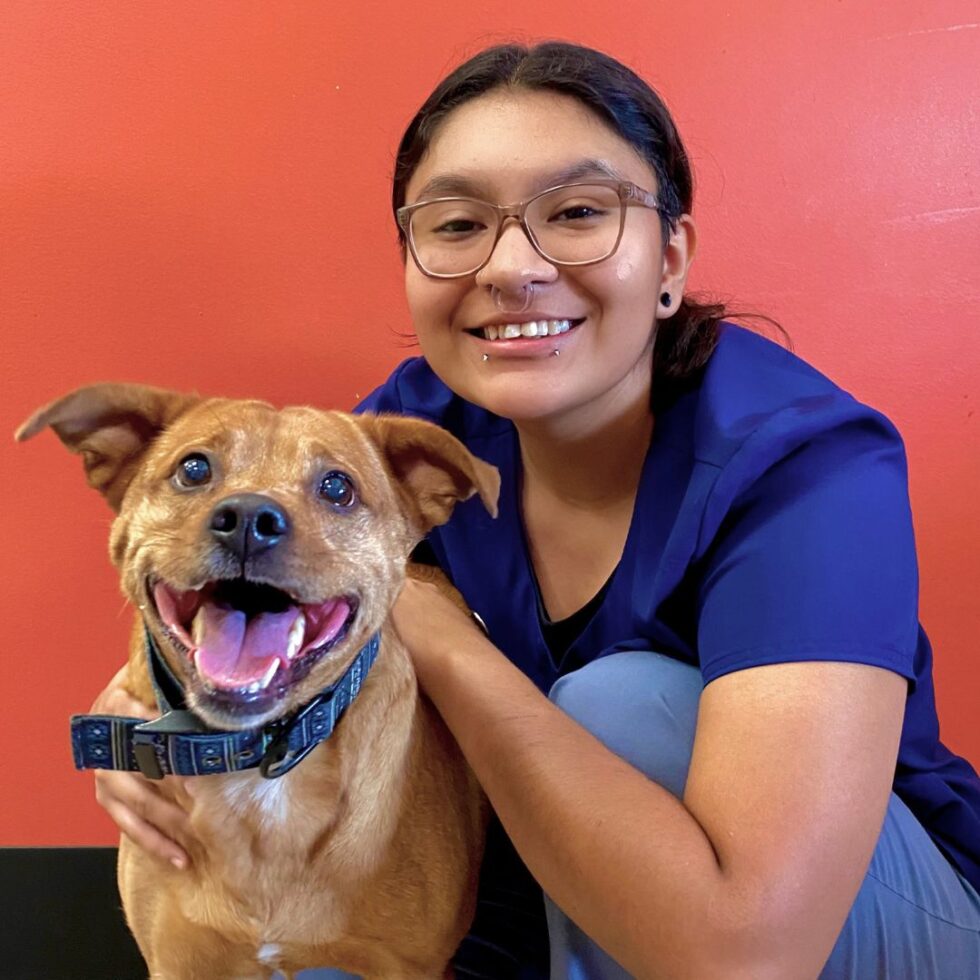 Veterinarian In Lawrence, KS 66047 | Lawrence Veterinary Hospital