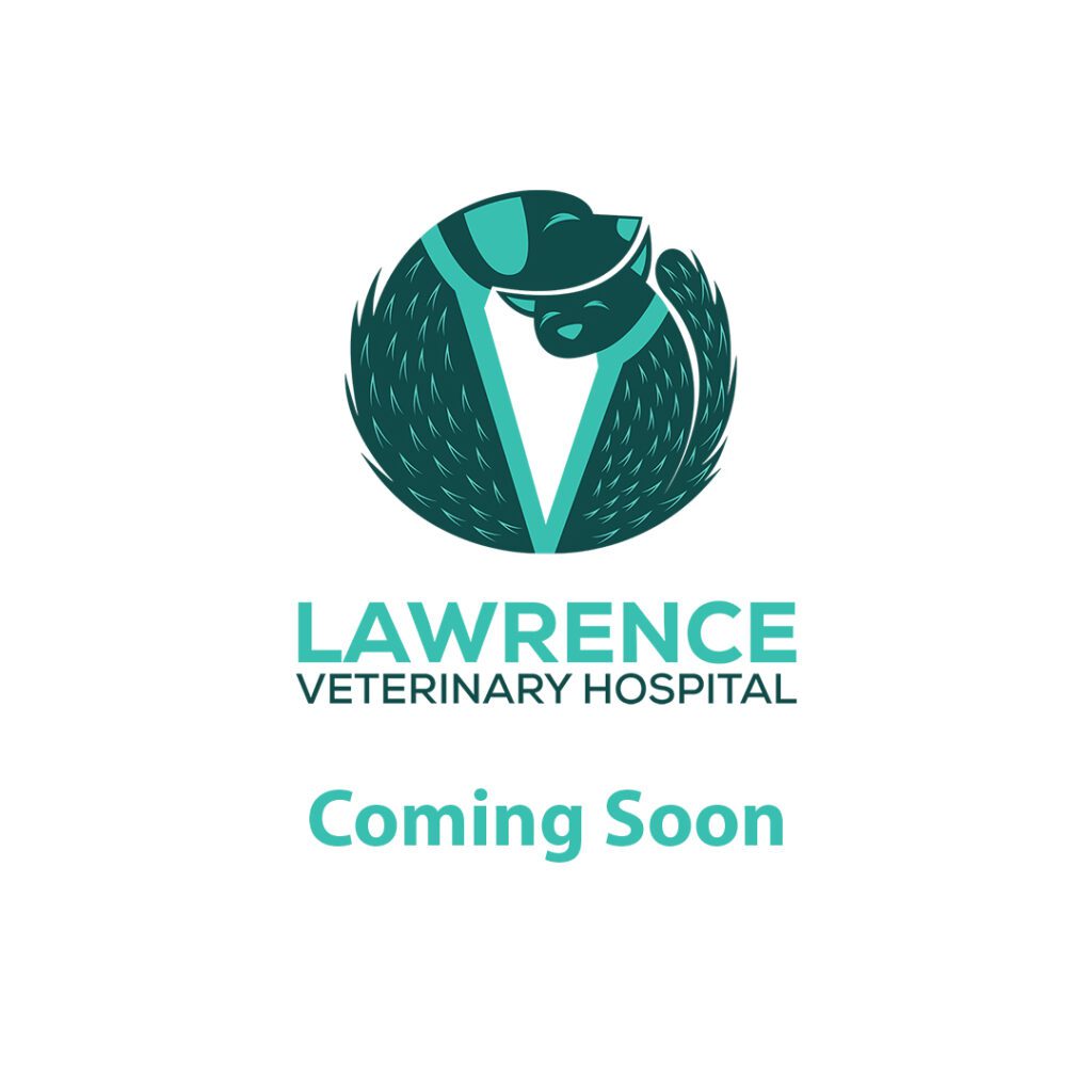 Veterinarian In Lawrence, KS 66047 | Lawrence Veterinary Hospital