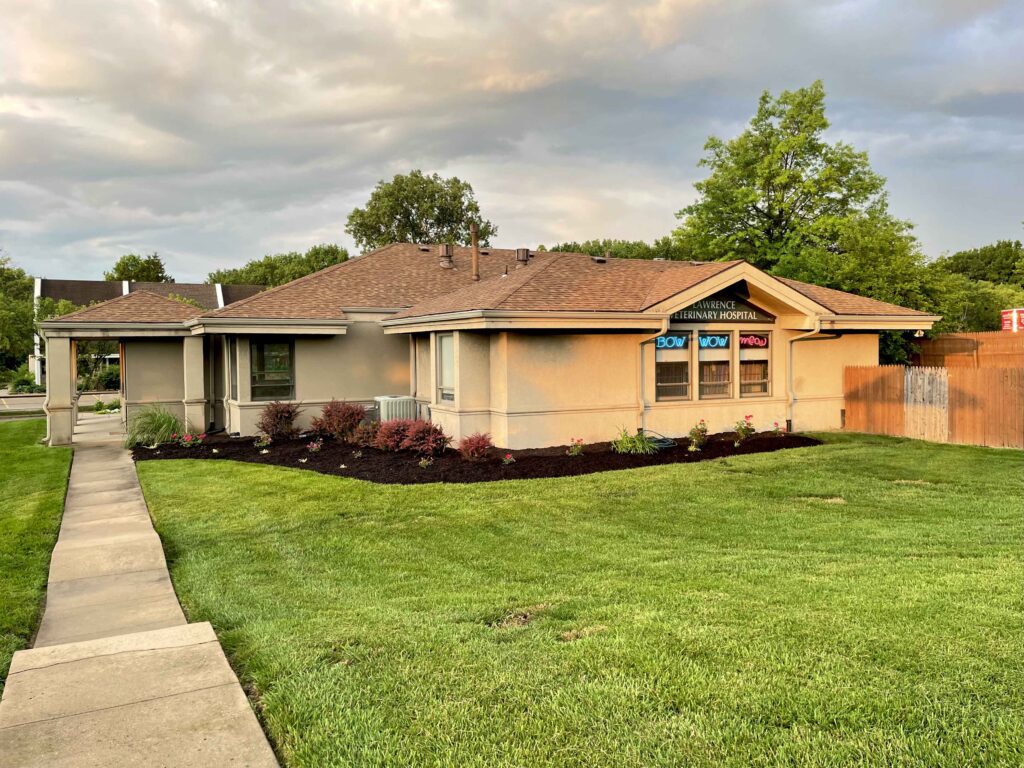 About Lawrence Veterinary Hospital | Vet In Lawrence, KS 66047